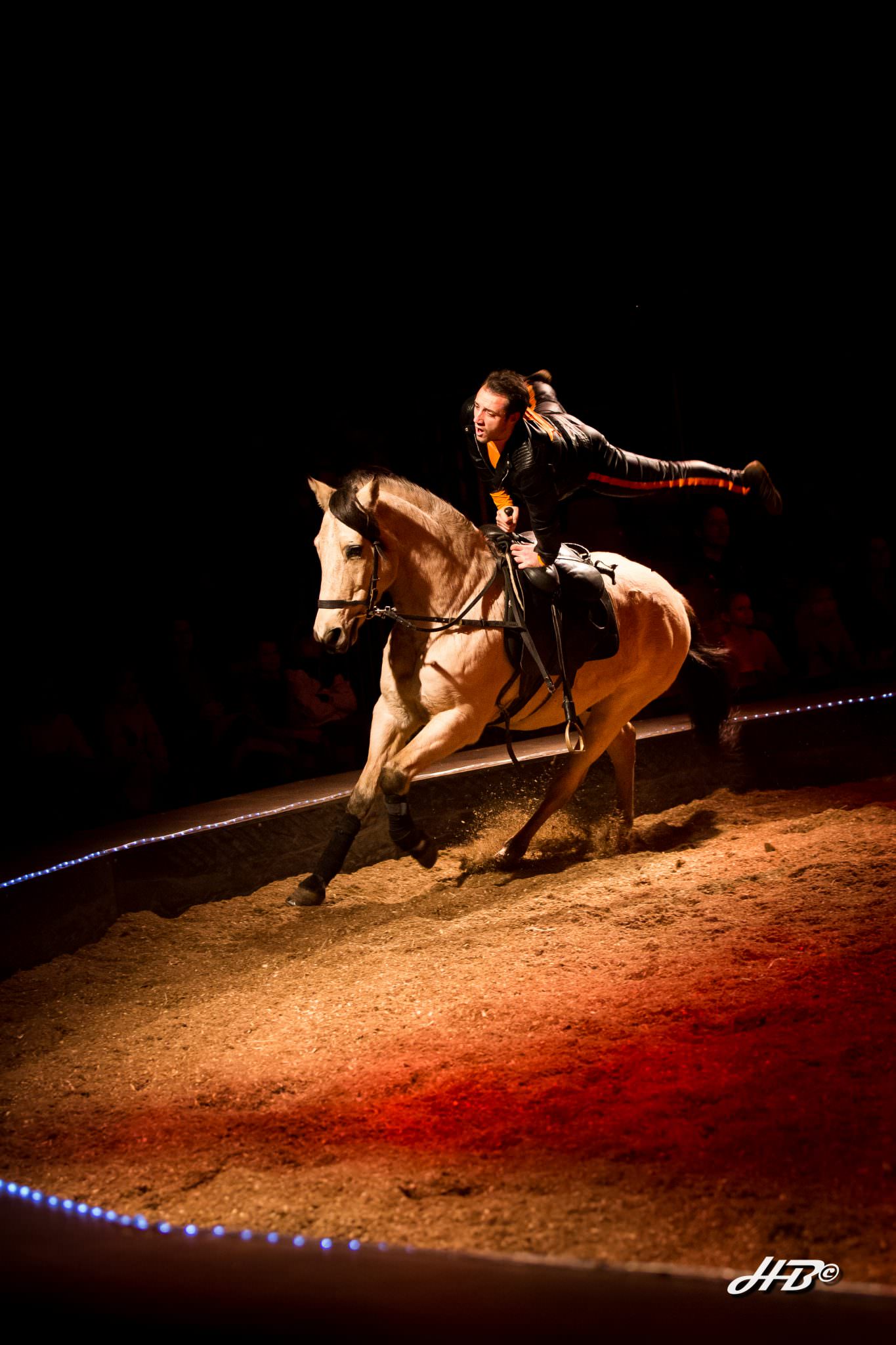 Spectacles équestres dans le Morbihan : dates et lieux à Lorient ...