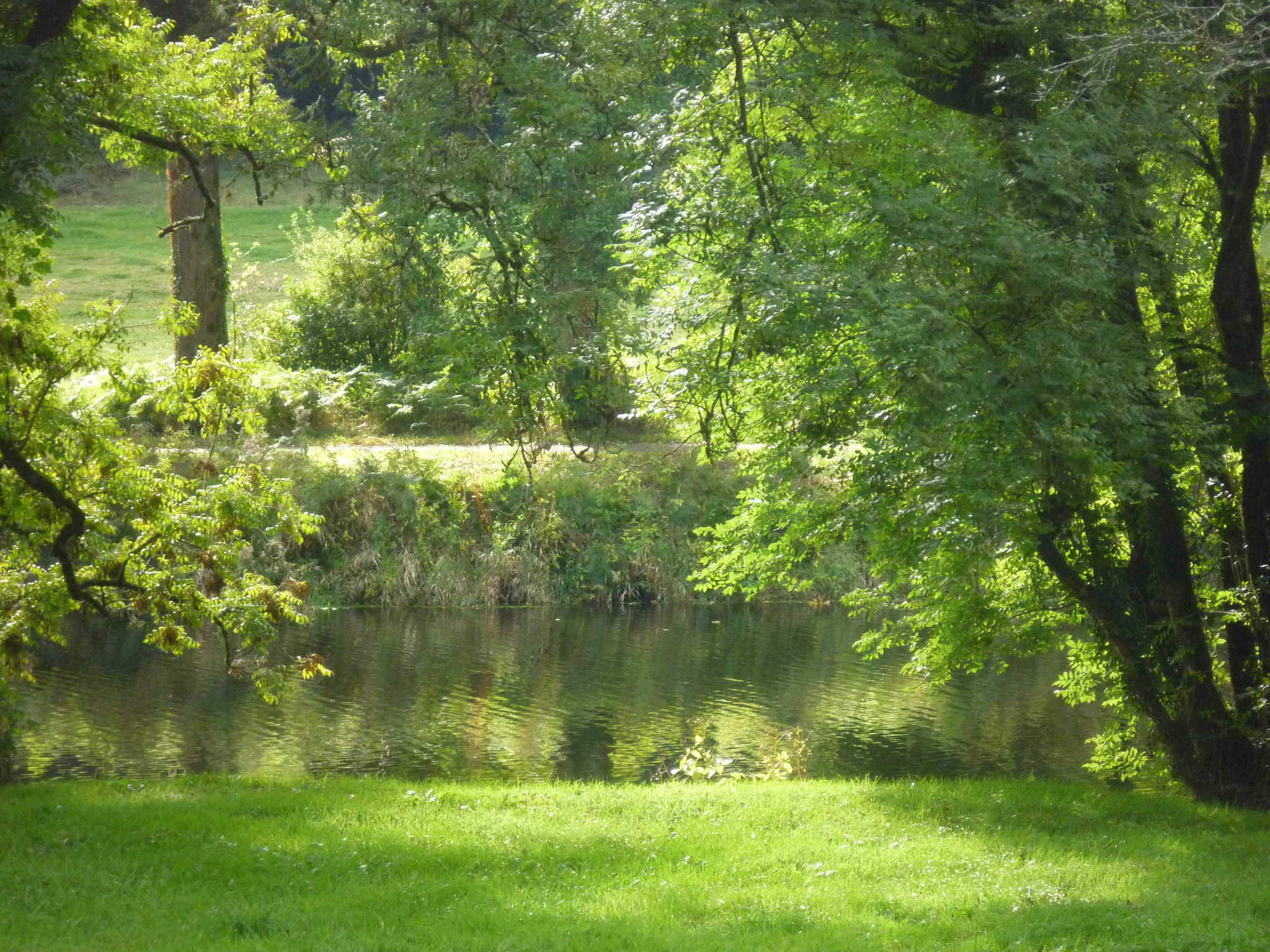 Randonnée à cheval à Quistinic - Rando équestre à Quistinic - Lorient ...