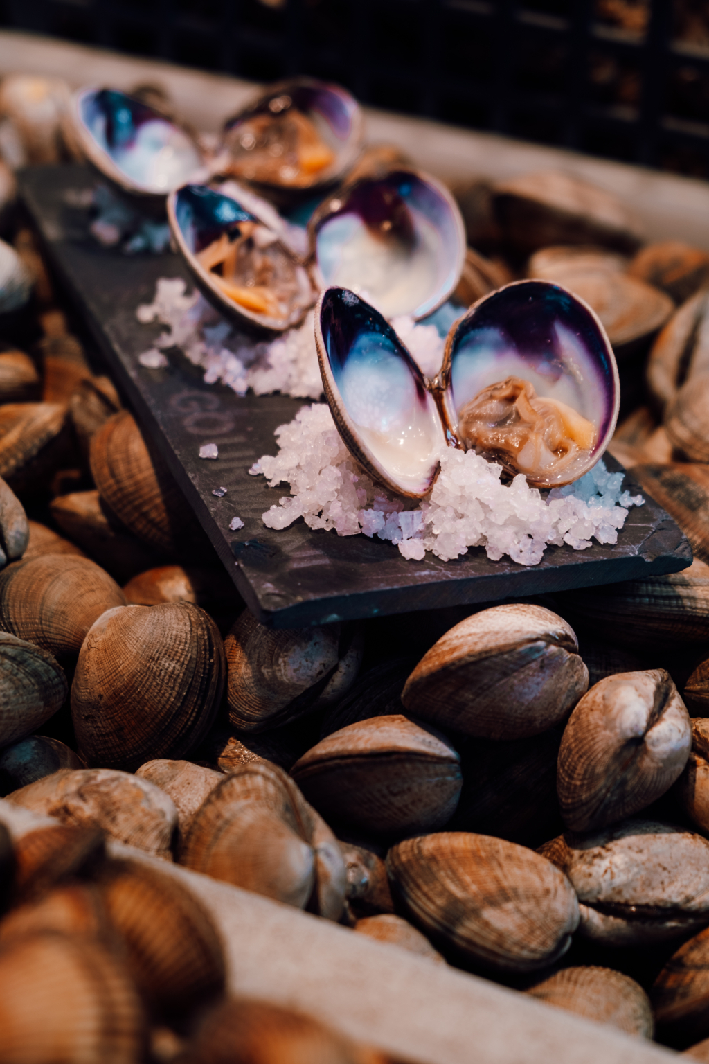 Cuisson des coques et recettes traditionnelles de Bretagne - Lorient ...